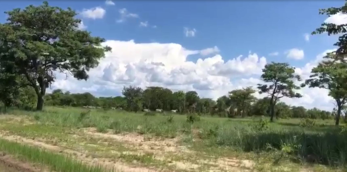 Chobe, Lesoma, Botswana [BB709] » Botswana Property & Real Estate Listings