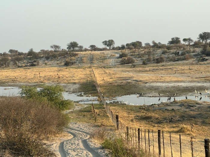 Developed Integrated 18hectare Farm on the Makgadikgadi border ...